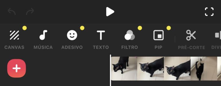 Como usar InShot para PC? É possível? [GUIA COMPLETO]
