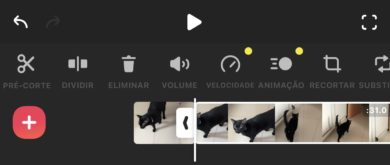 Como usar InShot para PC? É possível? [GUIA COMPLETO]